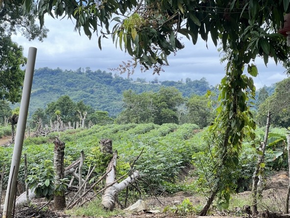 Apartamentos, casas y solares en Cotuí | Murcia Group